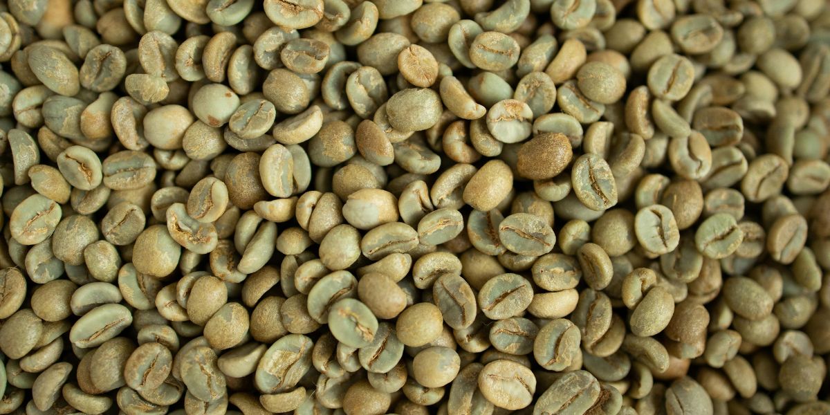 Green coffee: benefits and uses | Dr Nutrition UAE